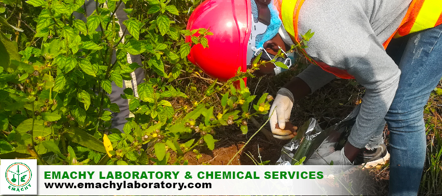 EMACHY Chemicals & Laboratory Services