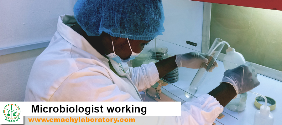 EMACHY Chemicals & Laboratory Services